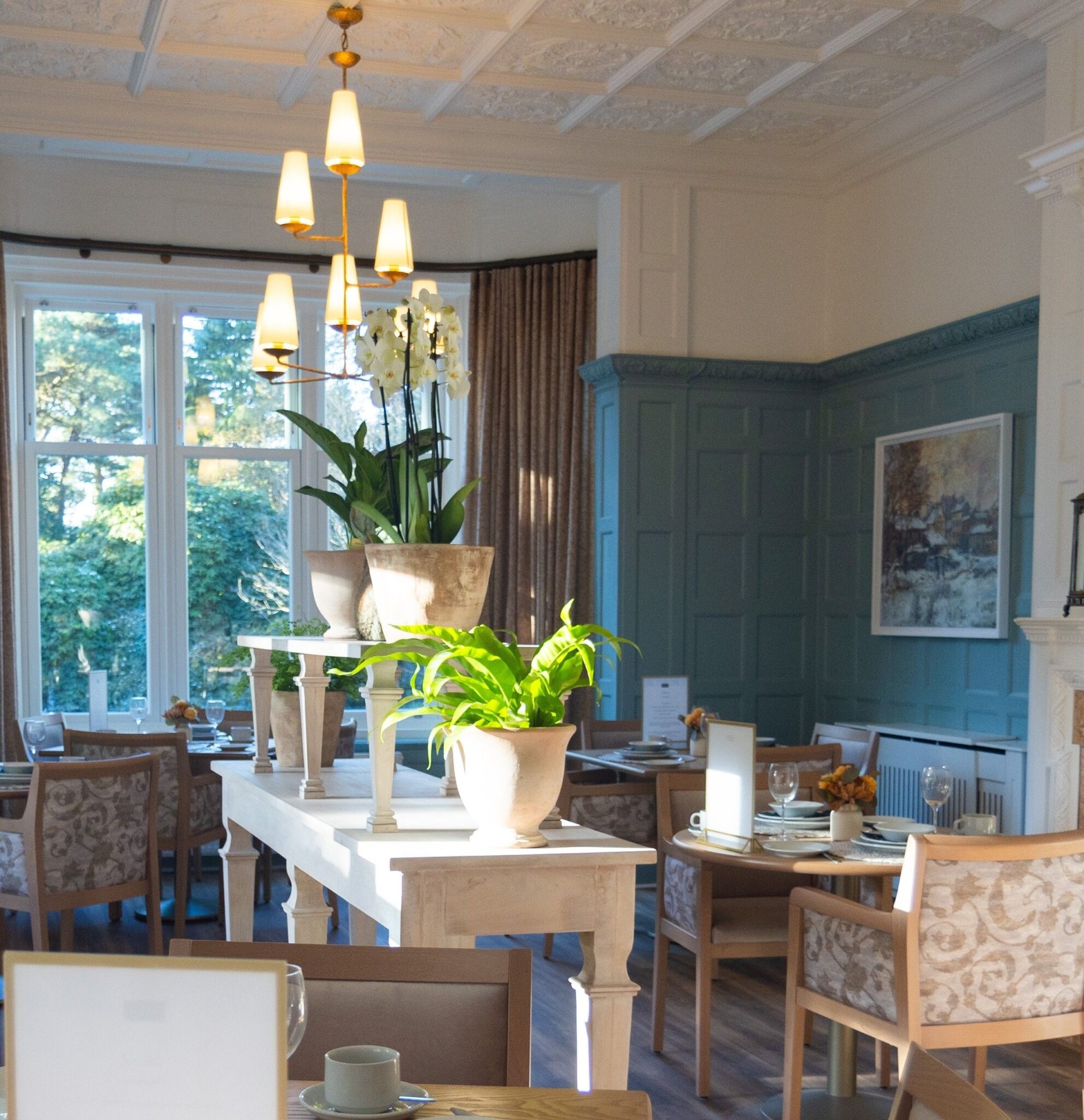 Manor Life - Park Manor - Manor Life